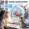 Amazon.com : Premium Window Bird Feeder for Outside - Clear Bird House ...