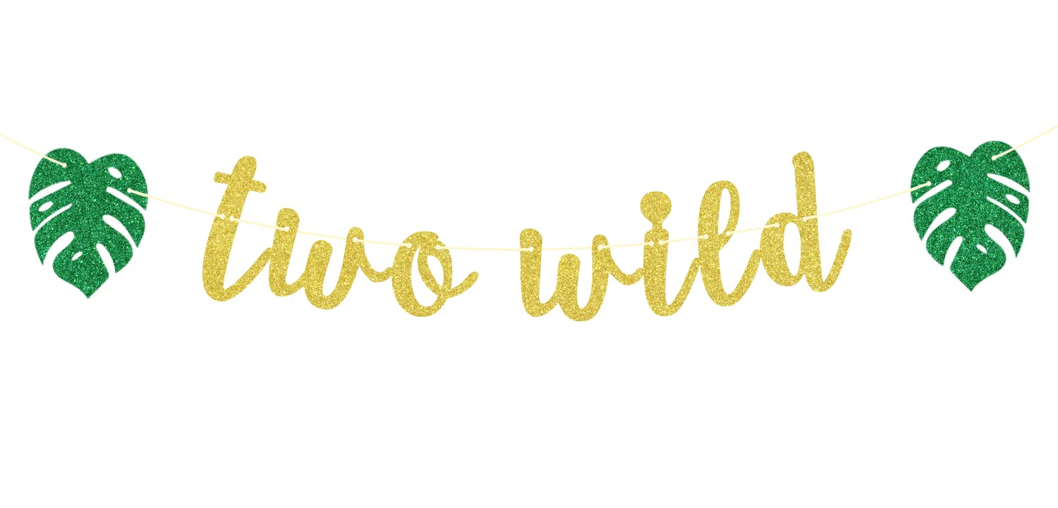 Amazon.com: Two Wild Banner, Baby Boys Girls 2nd Birthday Banner ...