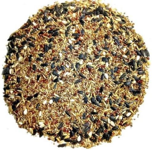 Buy Nitishree Premium Special Bird Food, 11-15 Types of Seed Mix for ...