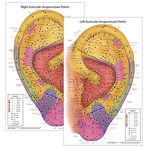 Compare Price: auriculotherapy chart - on StatementsLtd.com
