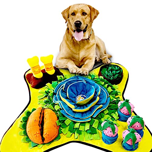 Best Activity Mats for Dogs: Fun and Stimulating Playtime for Your ...