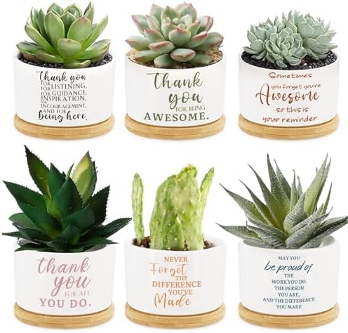 Amazon.com: Havawish 6 Pcs Book Lover Gifts Succulent Pots Reading ...