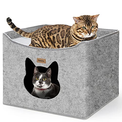 Cat House – The 15 best products compared - Wild Explained