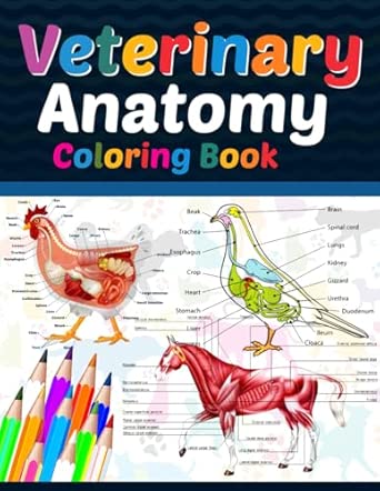 Amazon.com: Veterinary Anatomy Coloring Book: Veterinary Anatomy ...