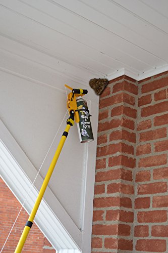 Gotcha Sprayer HO, Flashlight, 4 Section 12ft Extension Pole ...