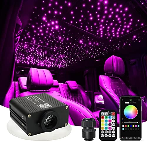Amazon.com: Starlight Headliner Kit 1000 Piece 32W Twinkle & Meteor 2 ...
