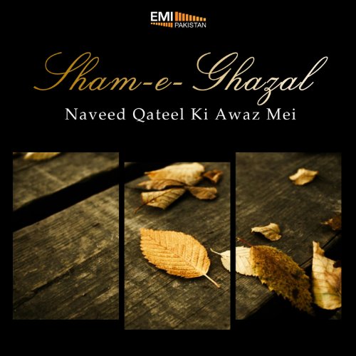 Amazon.com: Sham-E-Ghazal : Naveed Qateel: Digital Music