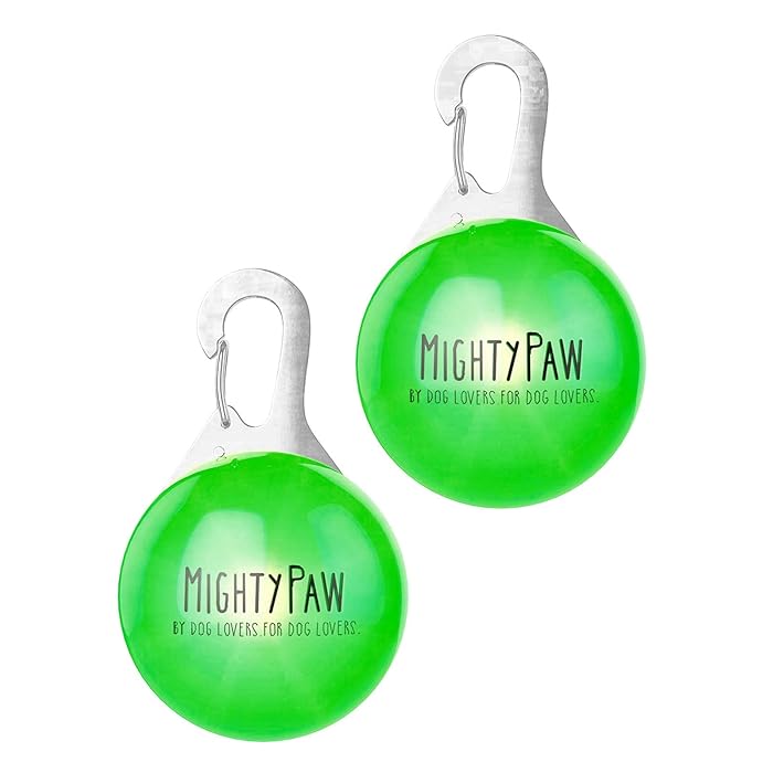 Buy Mighty Paw LED Dog Safety Light (2 Pack) | Two Weatherproof Clip-On ...