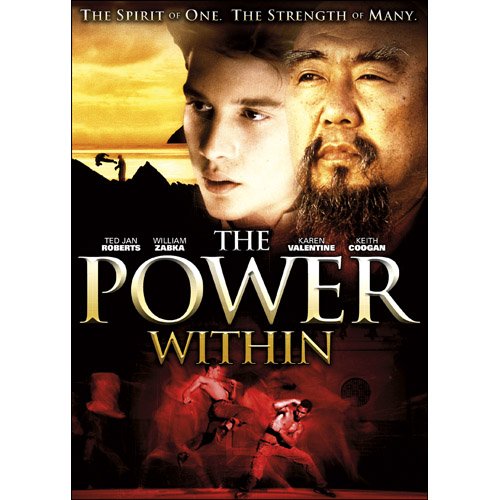 Power Within [Import USA Zone 1]: Amazon.de: DVD & Blu-ray