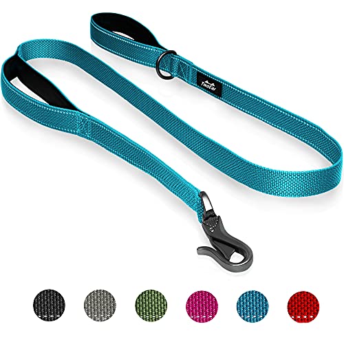 Top 10 Best 4 Foot Dog Leash : Reviews & Buying Guide - Katynel