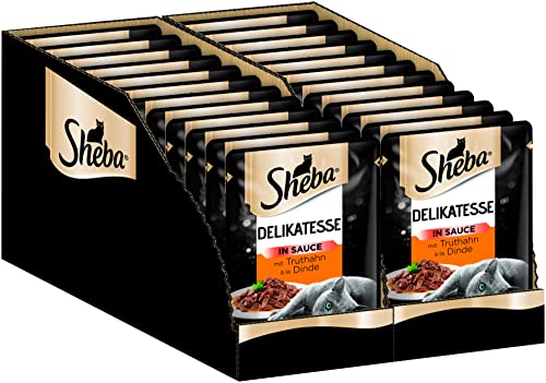 Sheba Katze – Die 16 besten Produkte im Vergleich - Haustierratgeber ...