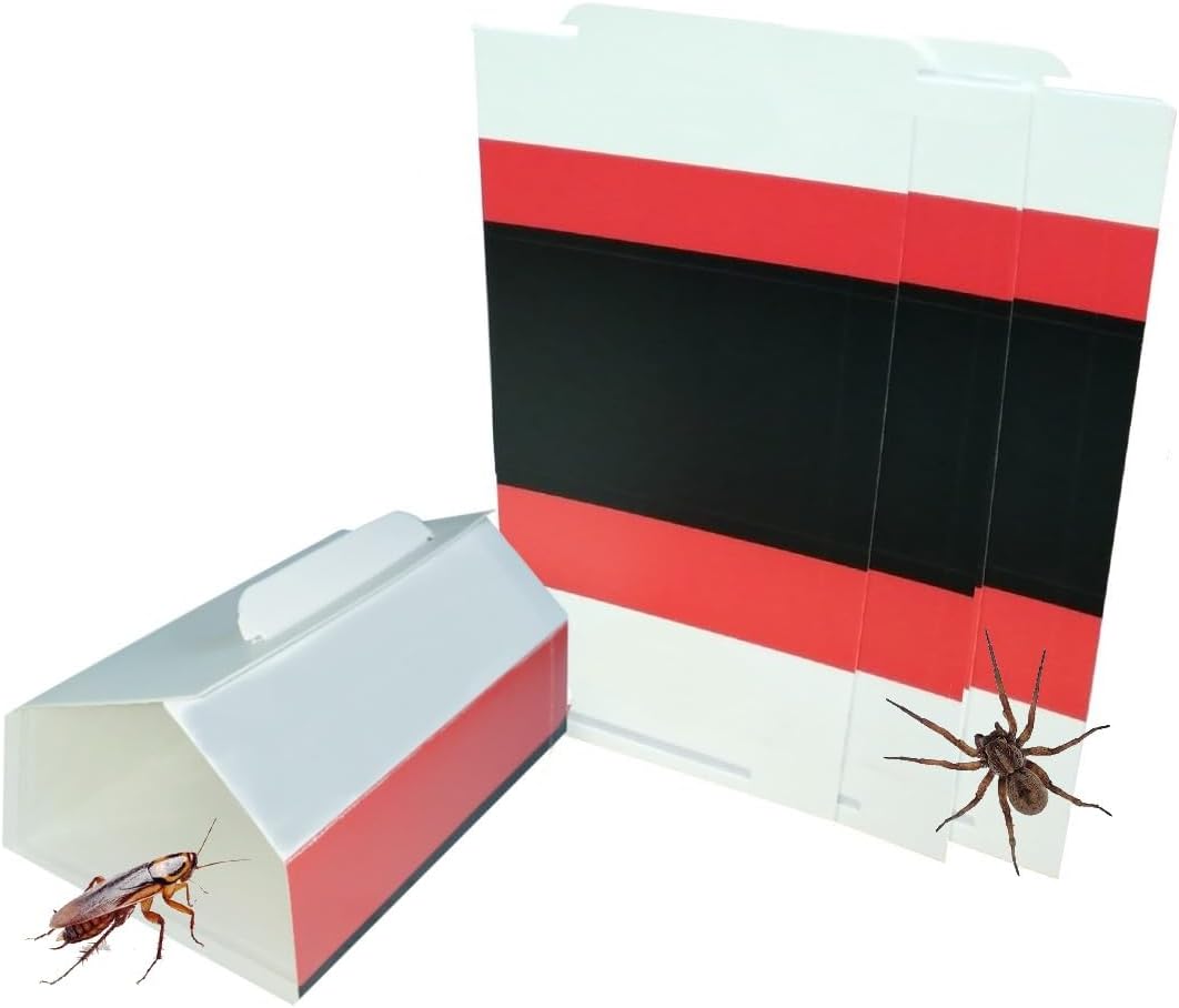 5 X Rentokil FS58 Spider and Crawling Insect Trap : Amazon.co.uk: Garden