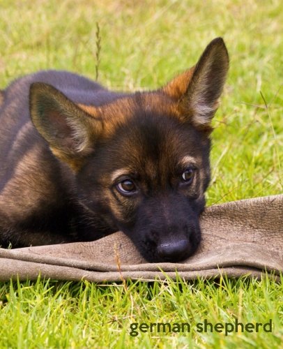 German Shepherd: A Gift Journal for People who Love Dogs: German ...