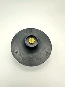 Amazon.com: Pool Princess Heavy Duty Whisperflo/Intelliflo 073127 ...