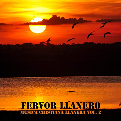 Amazon.com: Música Cristiana Llanera, Vol. 2 : Fervor Llanero: Digital ...