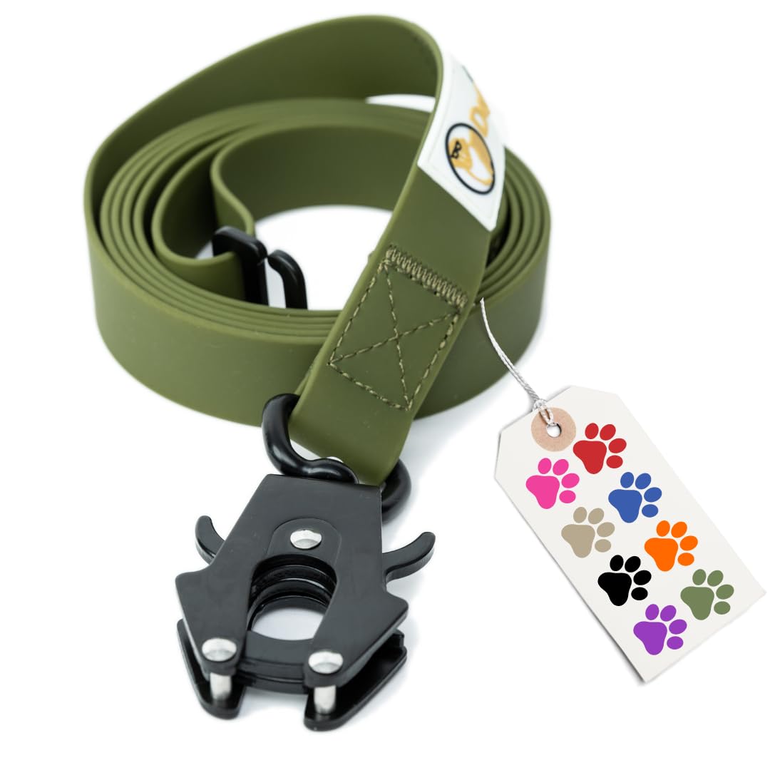 5 Best Leash For Dogs That Chew | 6 Toughest Leashes for Biters
