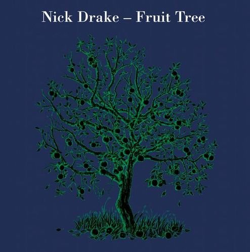 Fruit Tree : Nick Drake: Amazon.fr: CD et Vinyles}