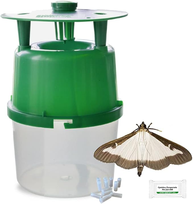 PlantPro Box Tree Caterpillar Moth Trap Catcher - Includes 3 Pheromone ...
