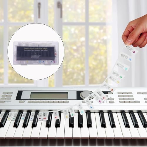 Amazon.com - Viemior Piano Notes Guide for Beginner, 88-Key Full Size ...