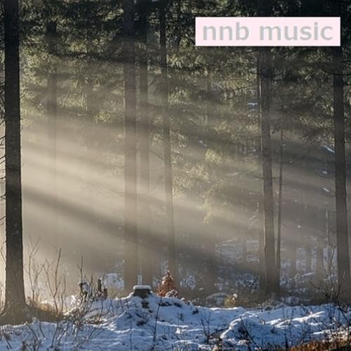 Amazon Musicでnnb musicの寒い森の朝を再生する