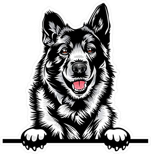 Amazon.com: Norwegian Elkhound Decal - Peeking Smiling Dog Breed Full ...