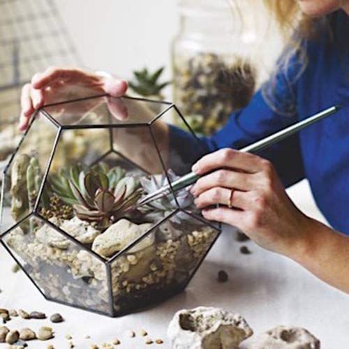 Amazon.com: Clear Glass Large Geometric Terrarium Container | Geometric ...