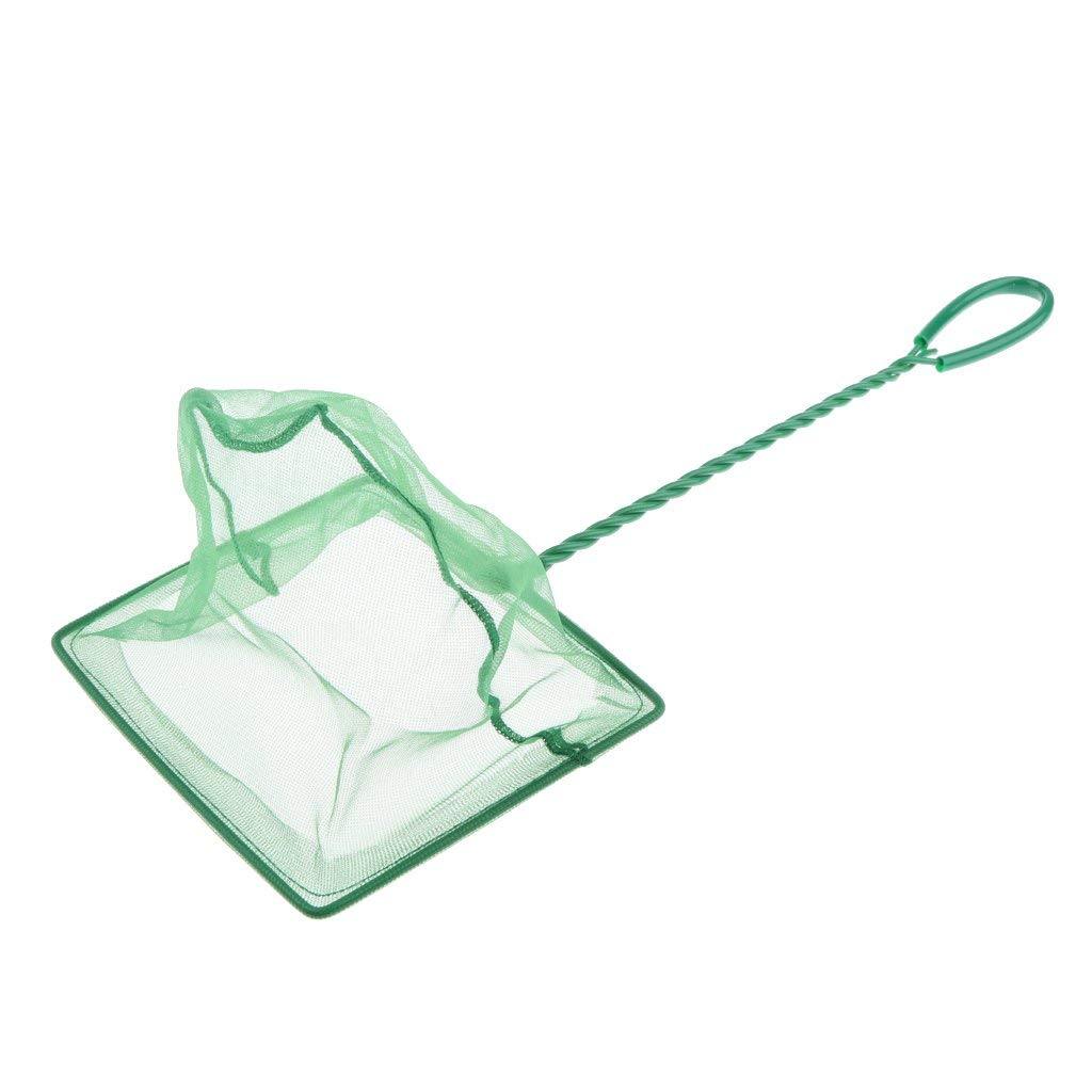 Anky Fish Aquarium Net Square Shape Long Handle for Aquarium & Fish ...