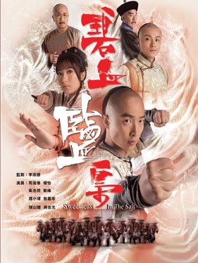 Amazon.com: Sweetness in the Salt/ Bik Huet Yim Hiu / Bi Xue Yan Xiao - TVB TV Series - English ...