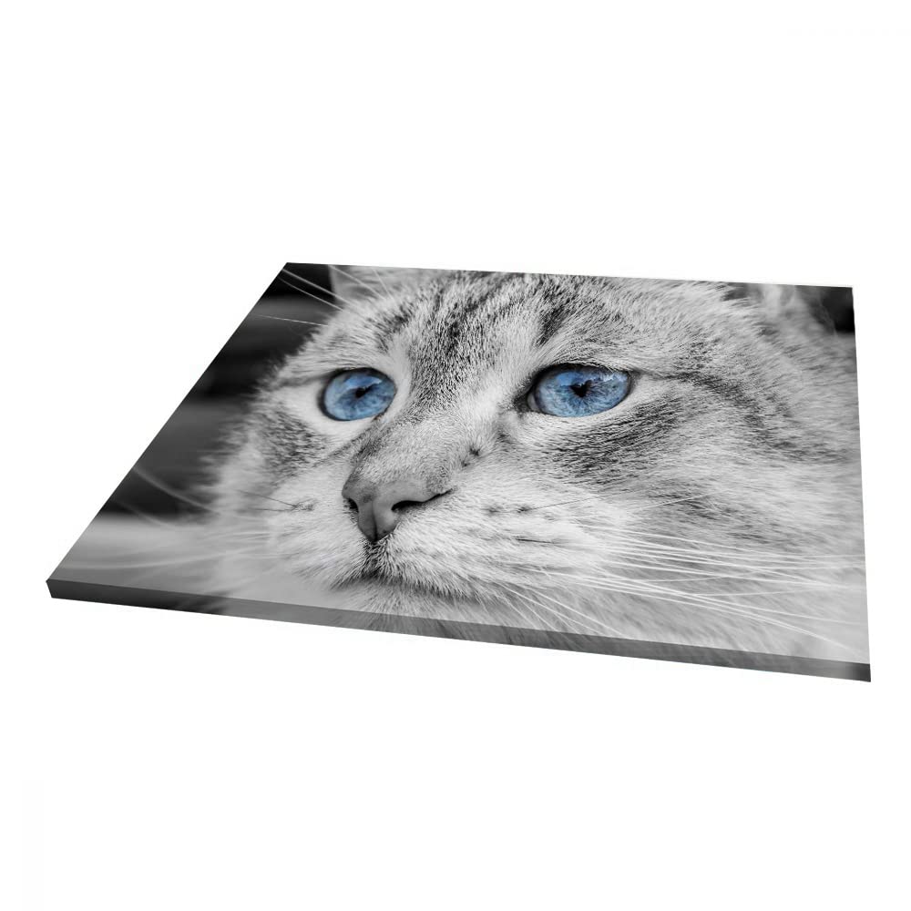 Cat Beard Painting