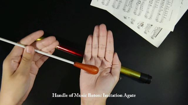 Watch Conducting Baton Rosewood Handle Orchestra Baton on Amazon Live