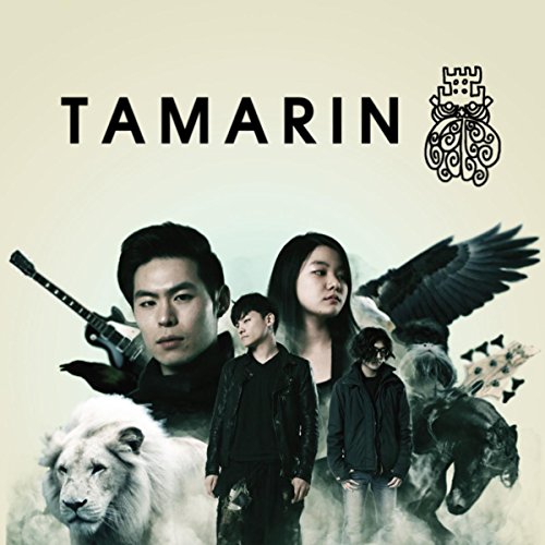 Amazon.com: Baby's Breath 안개꽃 : Tamarin: Digital Music