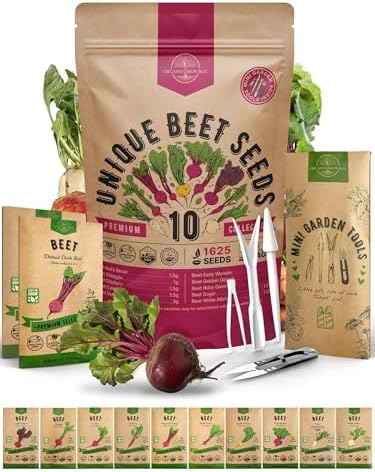 Amazon.com : Organo Republic Beet Sprouting & Microgreens Seeds ...