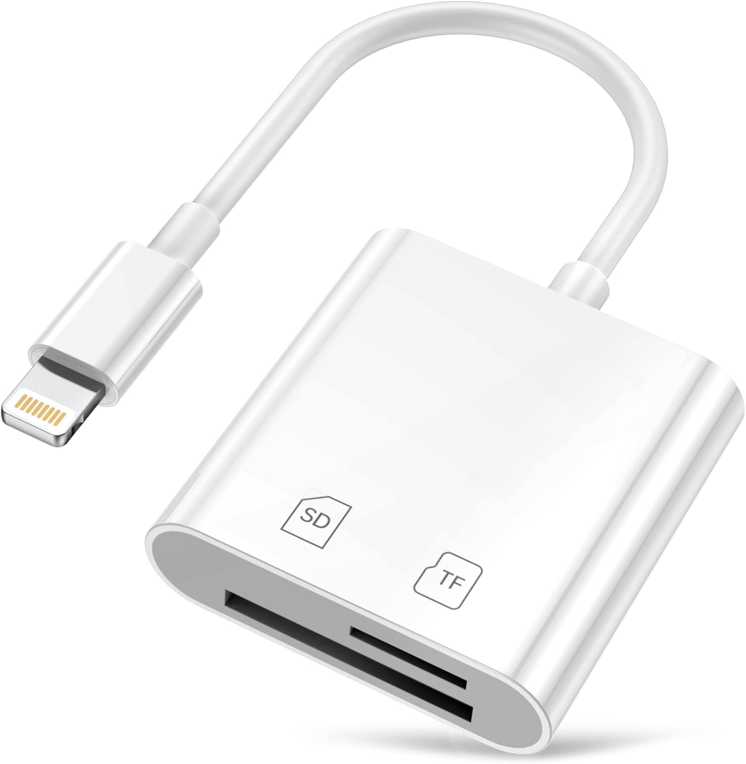 Amazon.com: SCICNCE SD Card Reader for iPhone iPad, Dual Card Slot ...