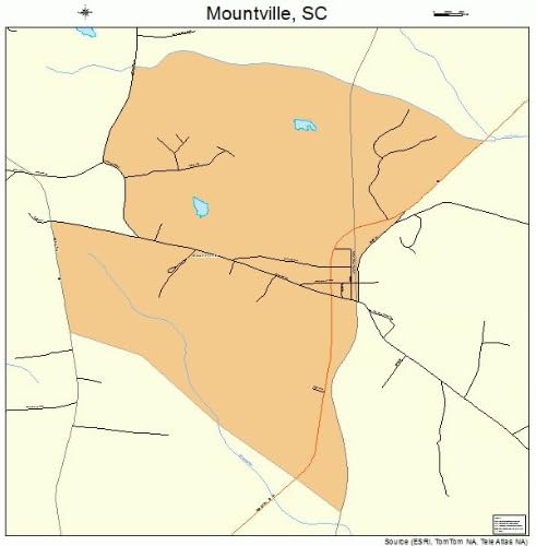 Amazon.com: Large Street & Road Map of Mountville, South Carolina SC ...