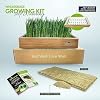 Amazon.com : Organic Wheatgrass Growing Kit, Self Watering, with ...