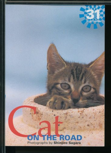 Amazon.co.jp: Cat ON THE ROAD : 本