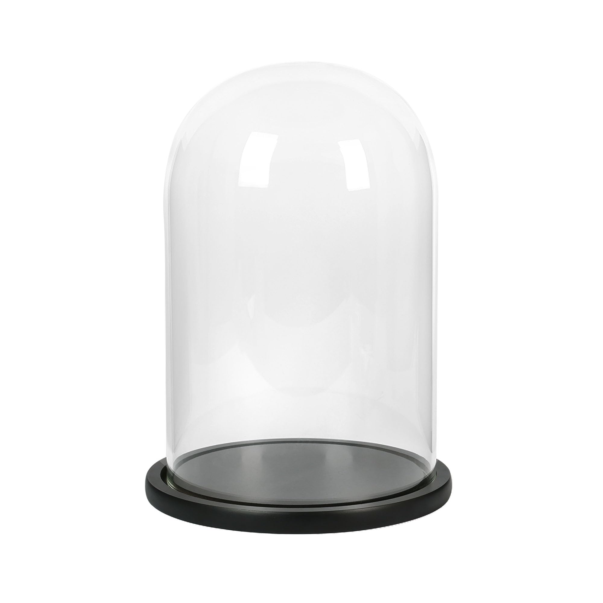 Glass Dome With Wood Base Events And Crafts | Glass Dome With Wood