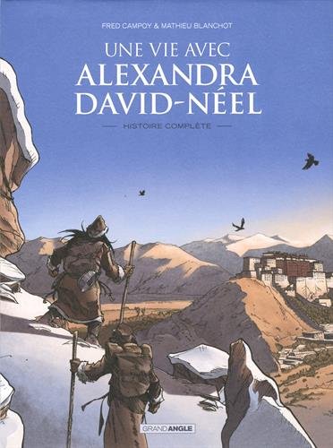 Amazon.fr - Grand Angle - Peyronnet, Marie-Madeleine, Blanchot, Mathieu ...