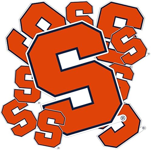Amazon.com: Desert Cactus Syracuse University Sticker Cuse Orange ...