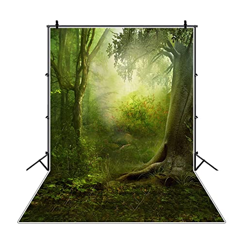 Amazon.com : Laeacco 5x7FT Jungle Forest Backdrop Hazy Dreamy Ancient ...