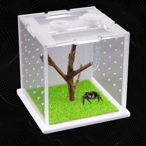 Amazon.com : Spider Acrylic Breeding Box, Tarantula Transparent ...