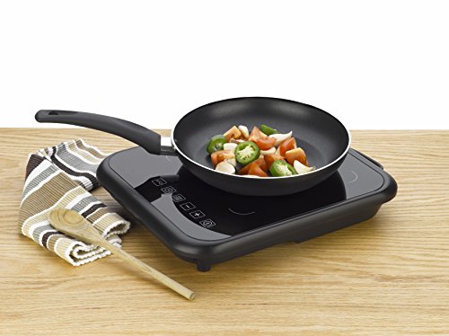 Fagor Portable Induction Cooktop (670041860) Review