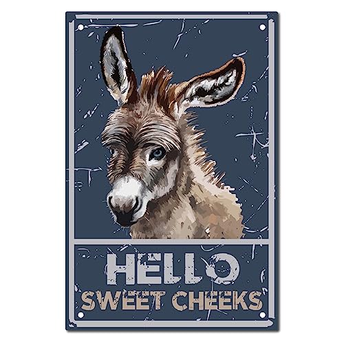 Esel Karotte Bild – Die 15 besten Produkte im Vergleich - HundeINFOPortal