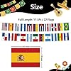 Amazon.com: Arosche Hispanic Heritage Month Decorations String Flags 22 ...