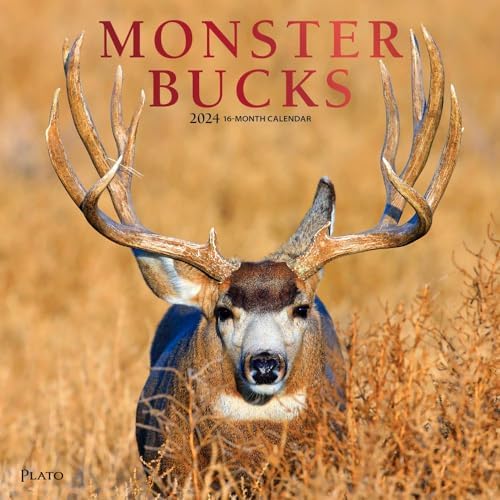 Monster Bucks | 2024 12 x 24 Inch Monthly Square Wall Calendar | Foil ...
