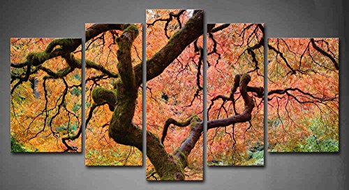 Wall Art Japanese Maple