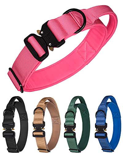 Dog Collar with Handle – The 15 best products compared - Wild Explained