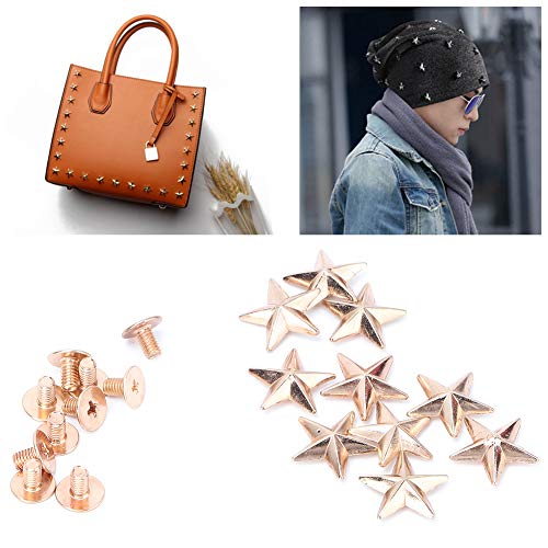 10 x Metal Star Screw Rivet Stud Rivet Tip Screw for Leather Crafts ...