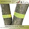 Amazon.com : W4W, Spotted Lantern Fly Tree Trap - 4 Rolls (30 Feet Each ...