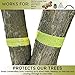 Amazon.com : Spotted Lantern Fly Tree Trap - 4 Rolls (30 Feet Each Roll ...